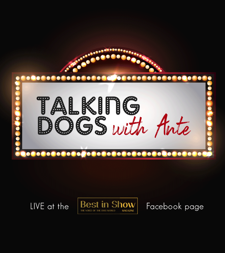 Best In Show Magazine USA | The Voice of Dog World