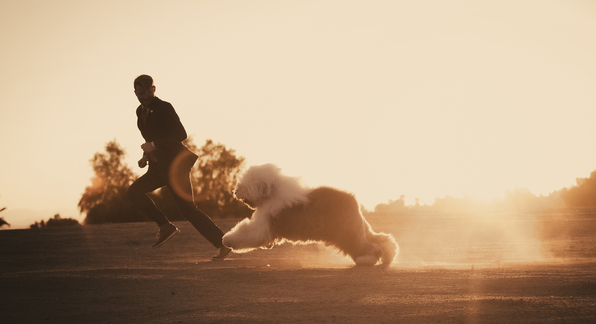 Best In Show Magazine USA | The Voice of Dog World